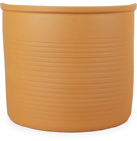 Momo (28cm) – Plantsome