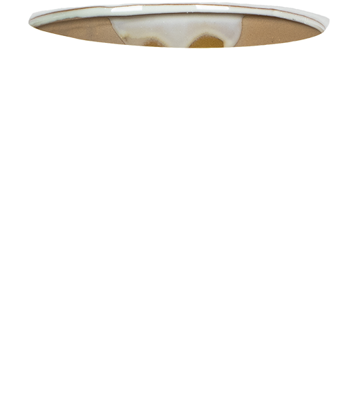 Alice (19cm) – Plantsome